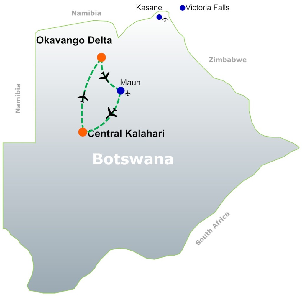 Central Kalahari Game Reserve & Okavango Delta | Wild Africa Travel ...